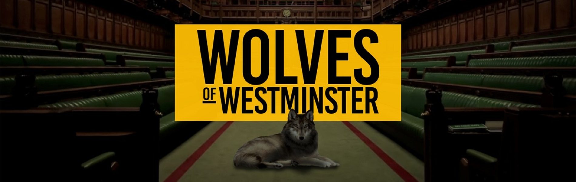 My country is not a landing strip - Wolves of Westminster